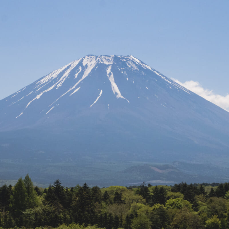 Nomihoudai: How to All-You-Can-Drink in Japan