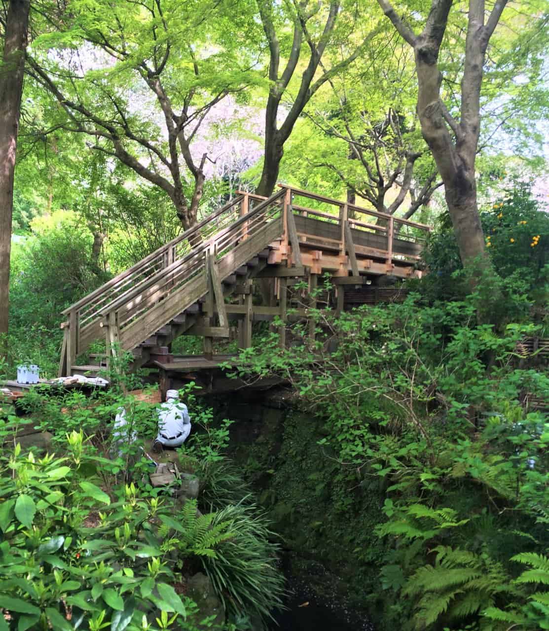 Meigetsu-in: Why this is the Best-Kept Secret Temple of Kamakura