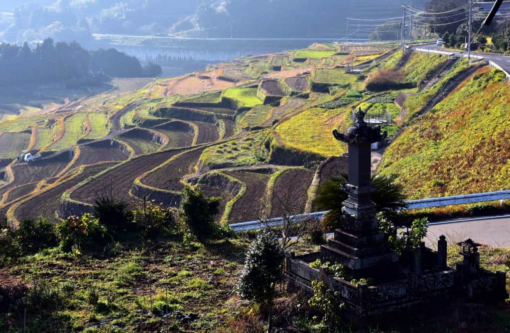 Terraced Rice Fields in Saga, Stunningly Beautiful Views of Japanese Nature
