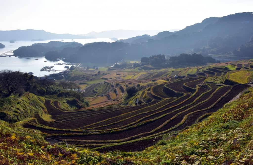 Terraced Rice Fields in Saga, Stunningly Beautiful Views of Japanese Nature