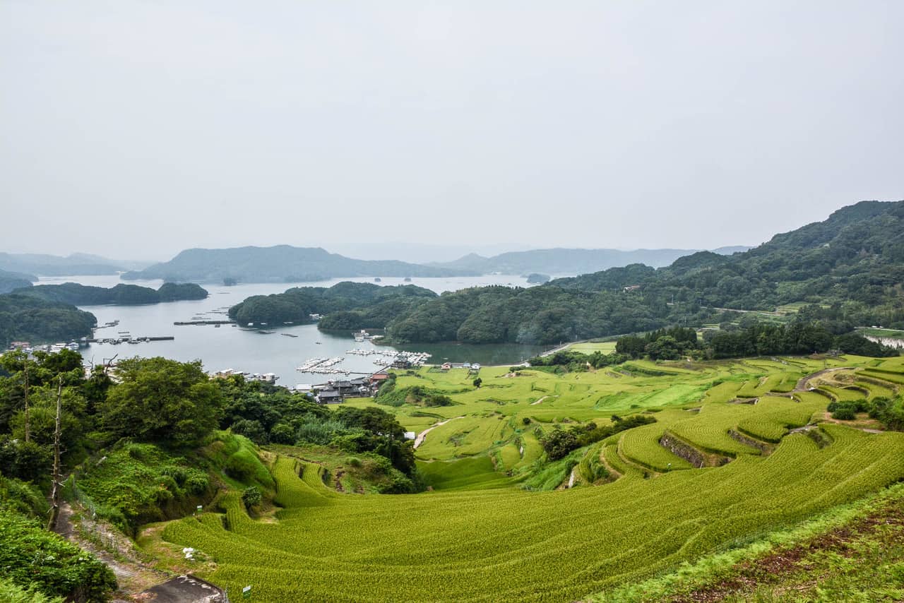 Stunning Terraced Rice Fields in Kyushu
