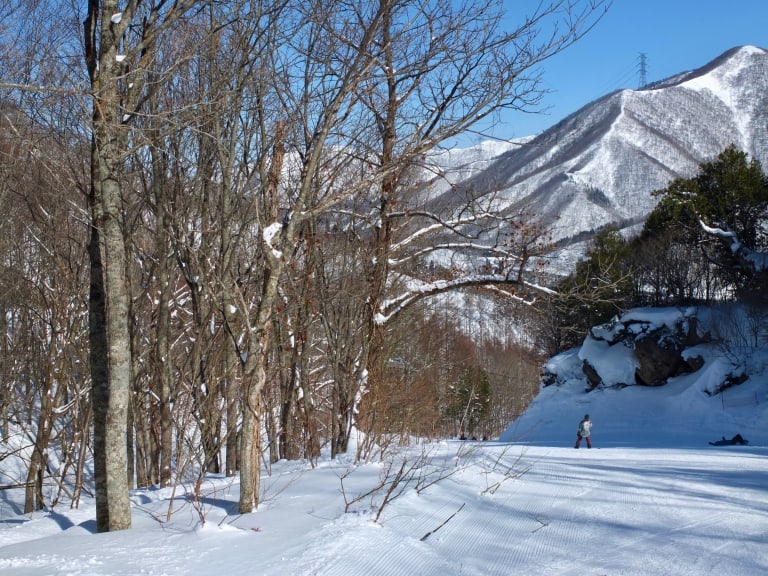 Enjoy Skiing at Naeba, One of Japan's Top Ski Resorts