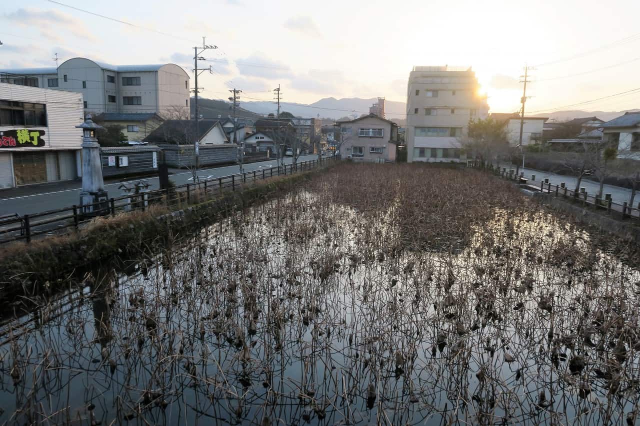 Castle Ruins, Cultural Heritage and Shochu in the Heart of Historical ...