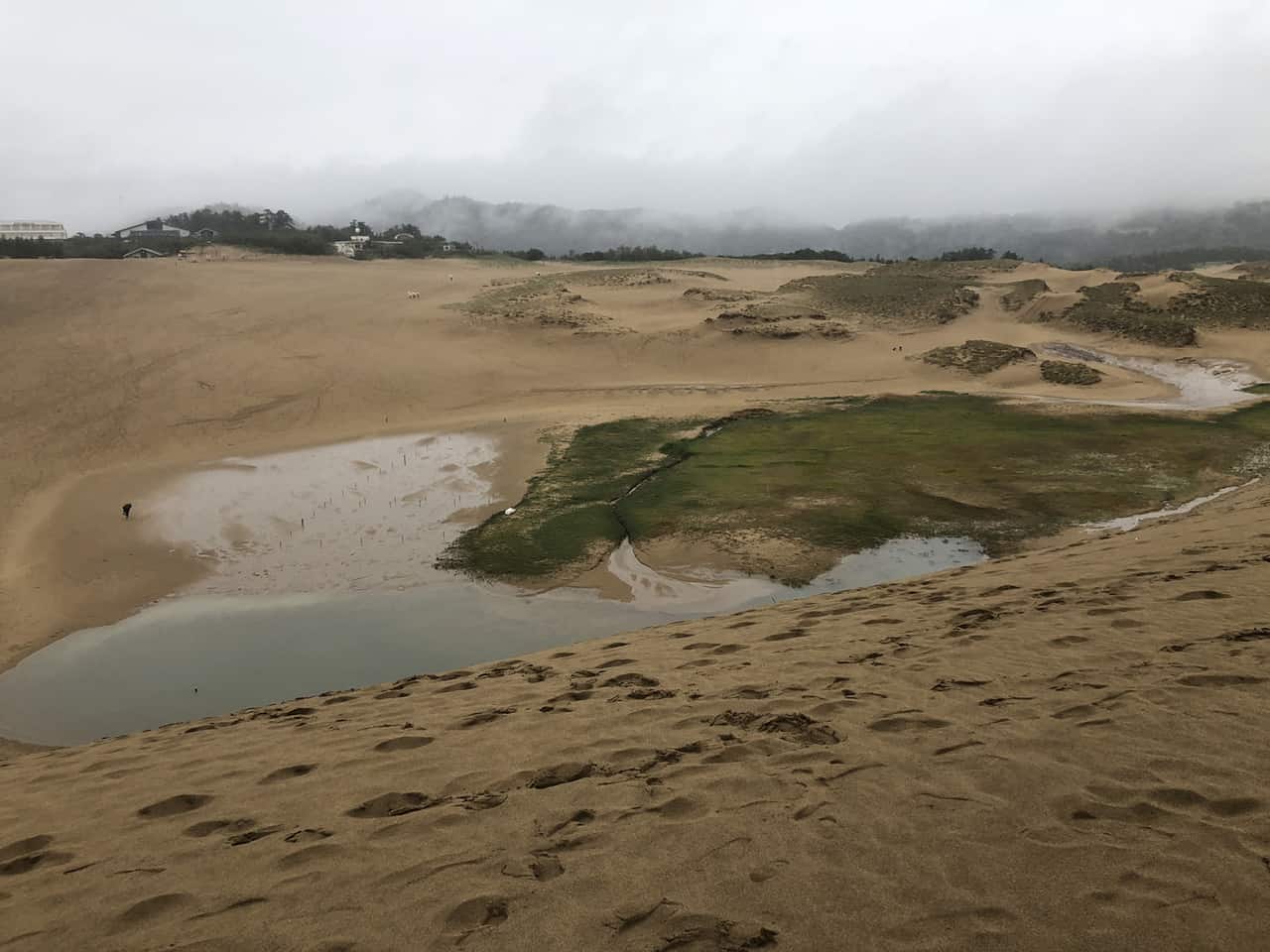The fascinating sand dunes of Tottori