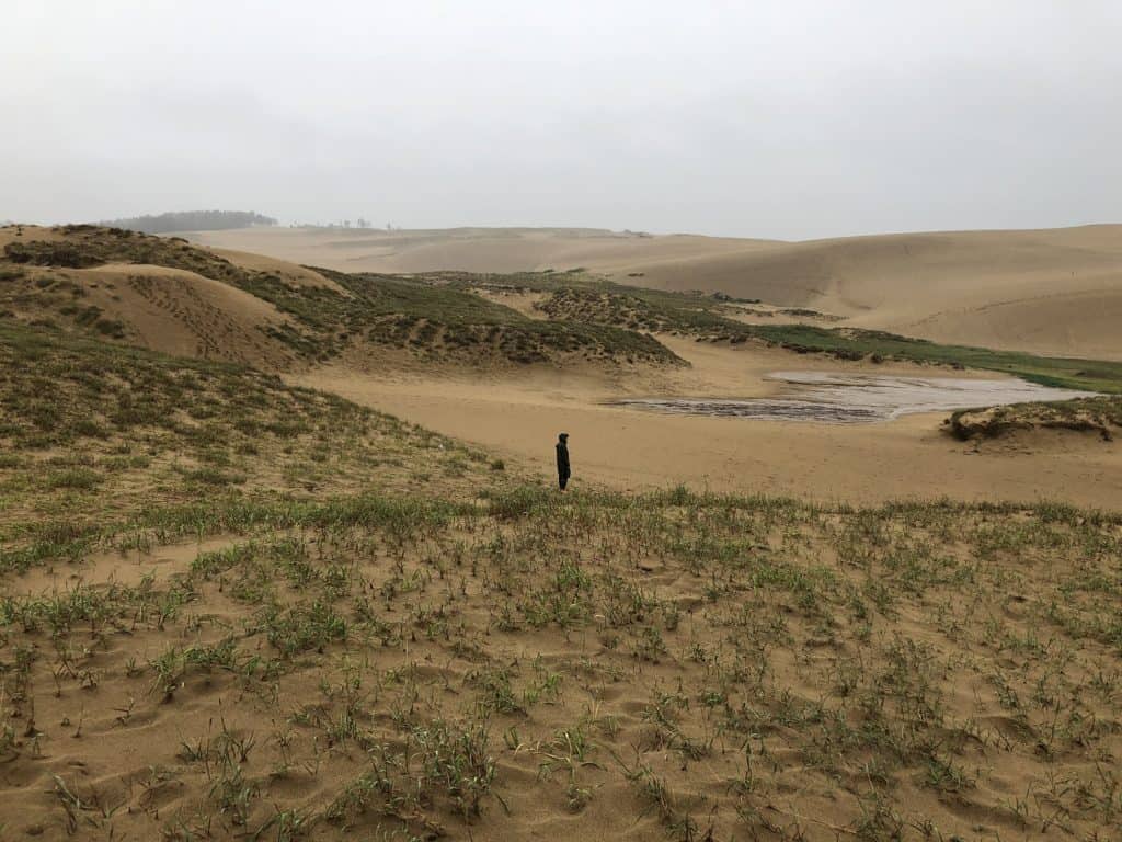 The fascinating sand dunes of Tottori