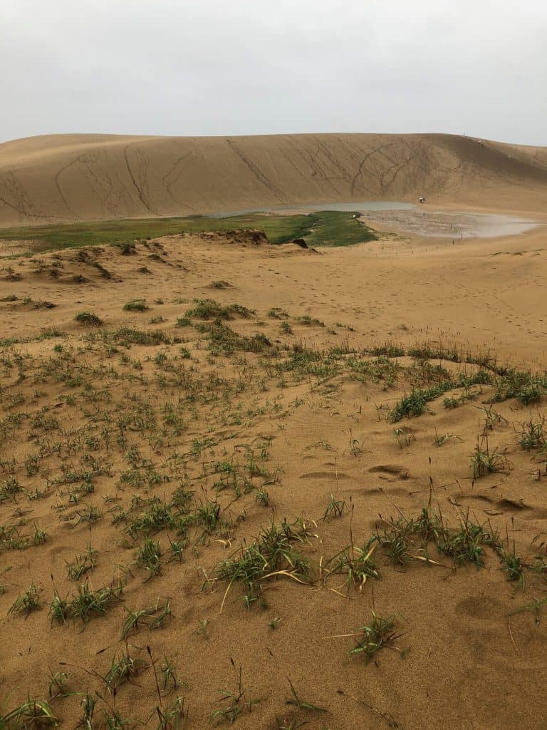 The fascinating sand dunes of Tottori