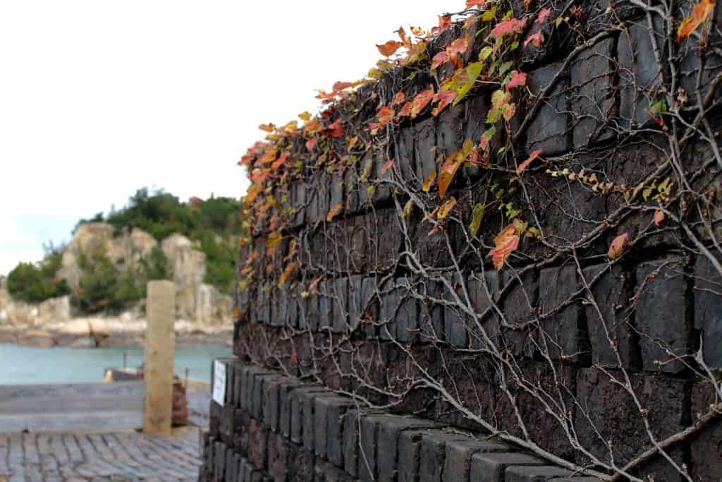 Explore the Art Island in the Seto Inland Sea, Inujima