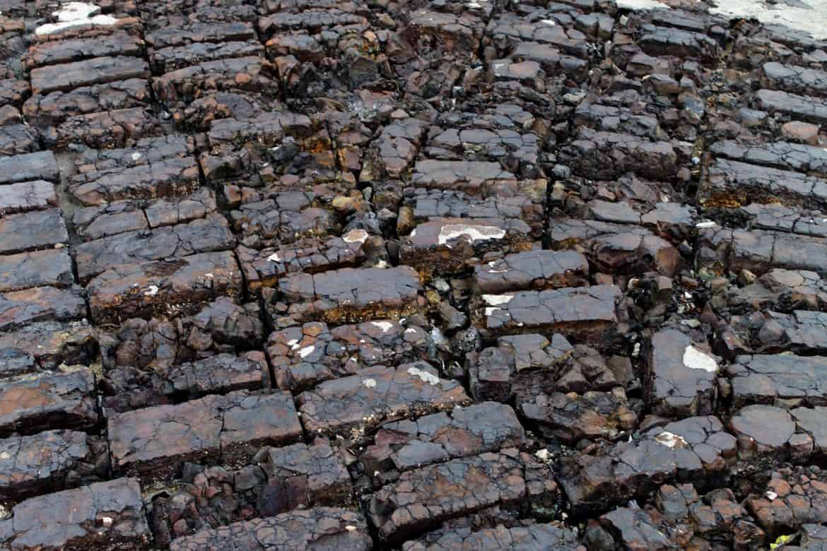 Explore the Art Island in the Seto Inland Sea, Inujima