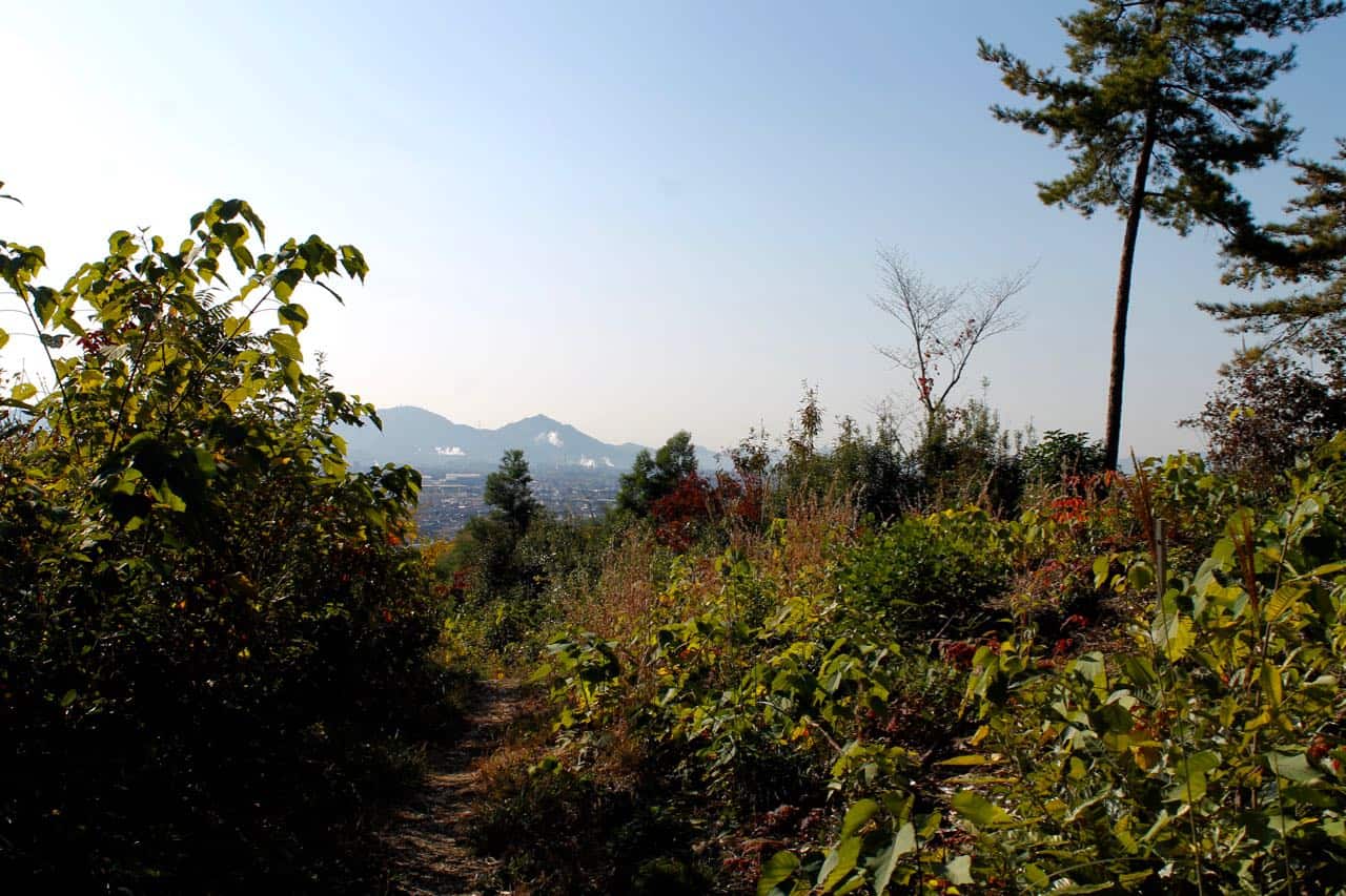 Admire the Beautiful Autumn Foliage of Okayama’s Sogenji Temple