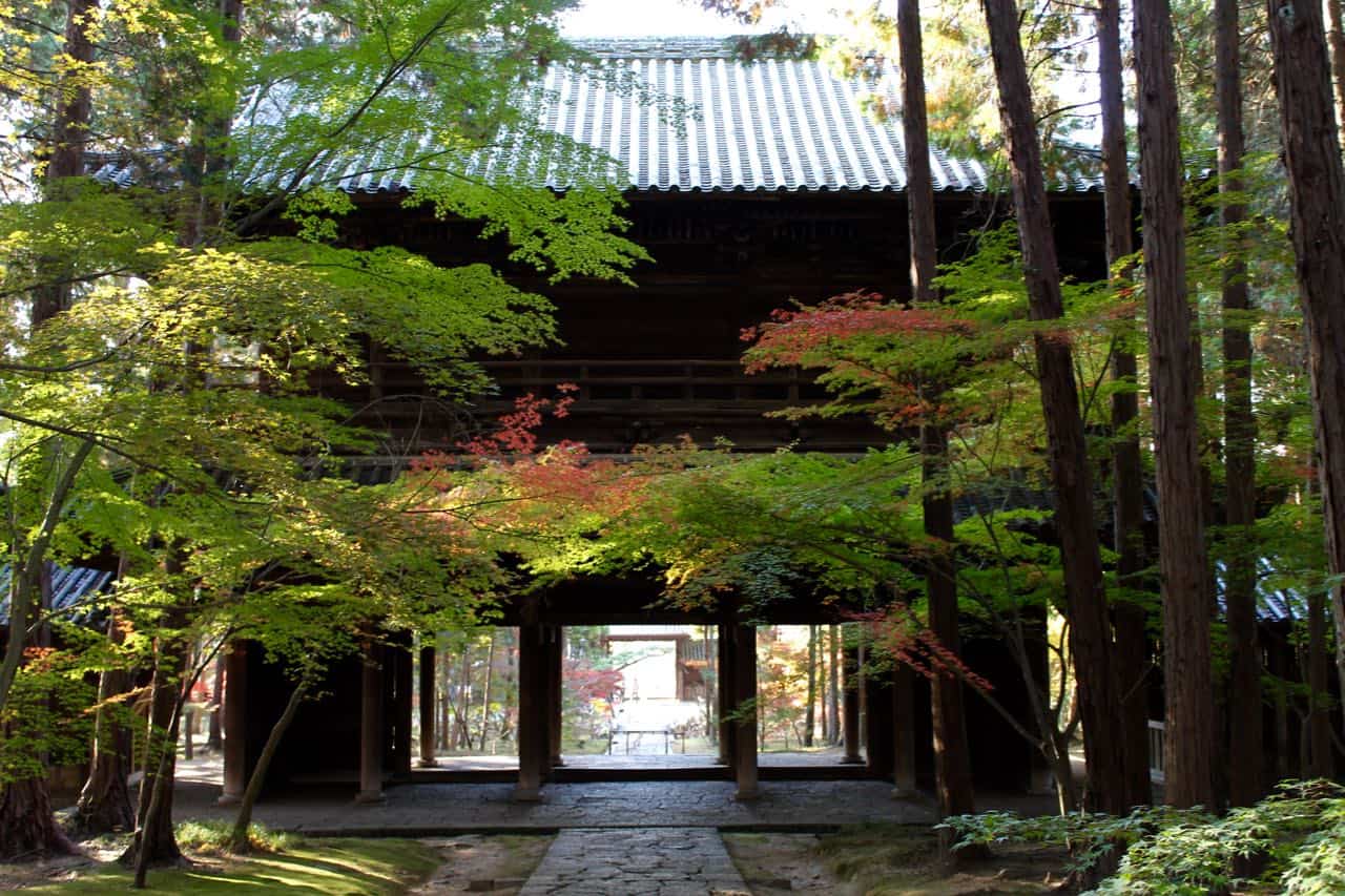 Admire the Beautiful Autumn Foliage of Okayama’s Sogenji Temple