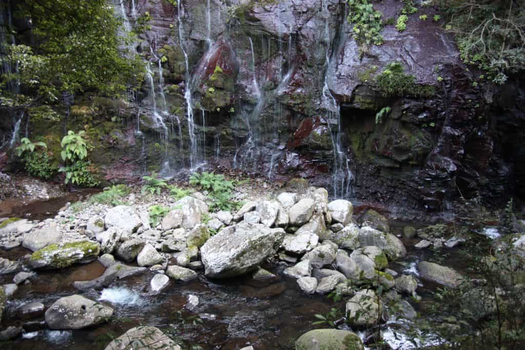 From waterfalls to art museum : Discover the hidden nature of Higashisonogi
