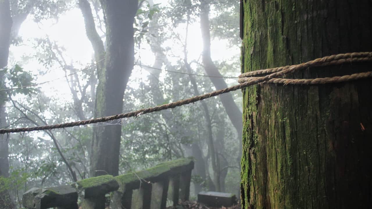 Hiking in Japan: Follow the Pilgrimage Path of Oita's Mount Omoto Shrine