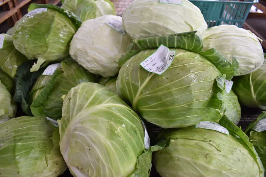 Design your Perfect Travel Itinerary with the Help of a Local Guide