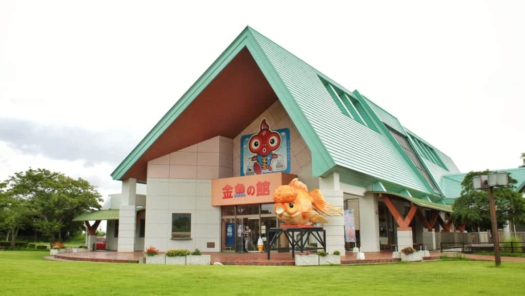 Enter Nagasu Town's World of Goldfish!