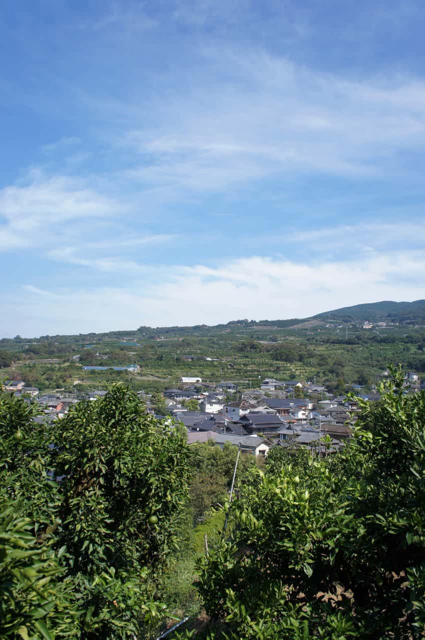 Kumamoto Delights: Tasty Fruit and Relaxing Onsen