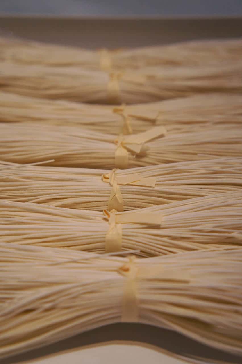Specialties of Nankan: Somen Noodles and Fried Tofu