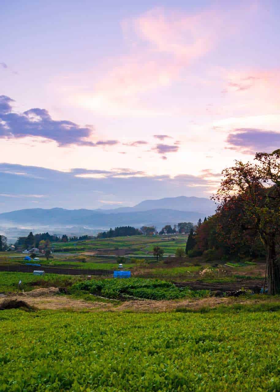 3 Ways To Spend A Perfect Day in Iiyama City