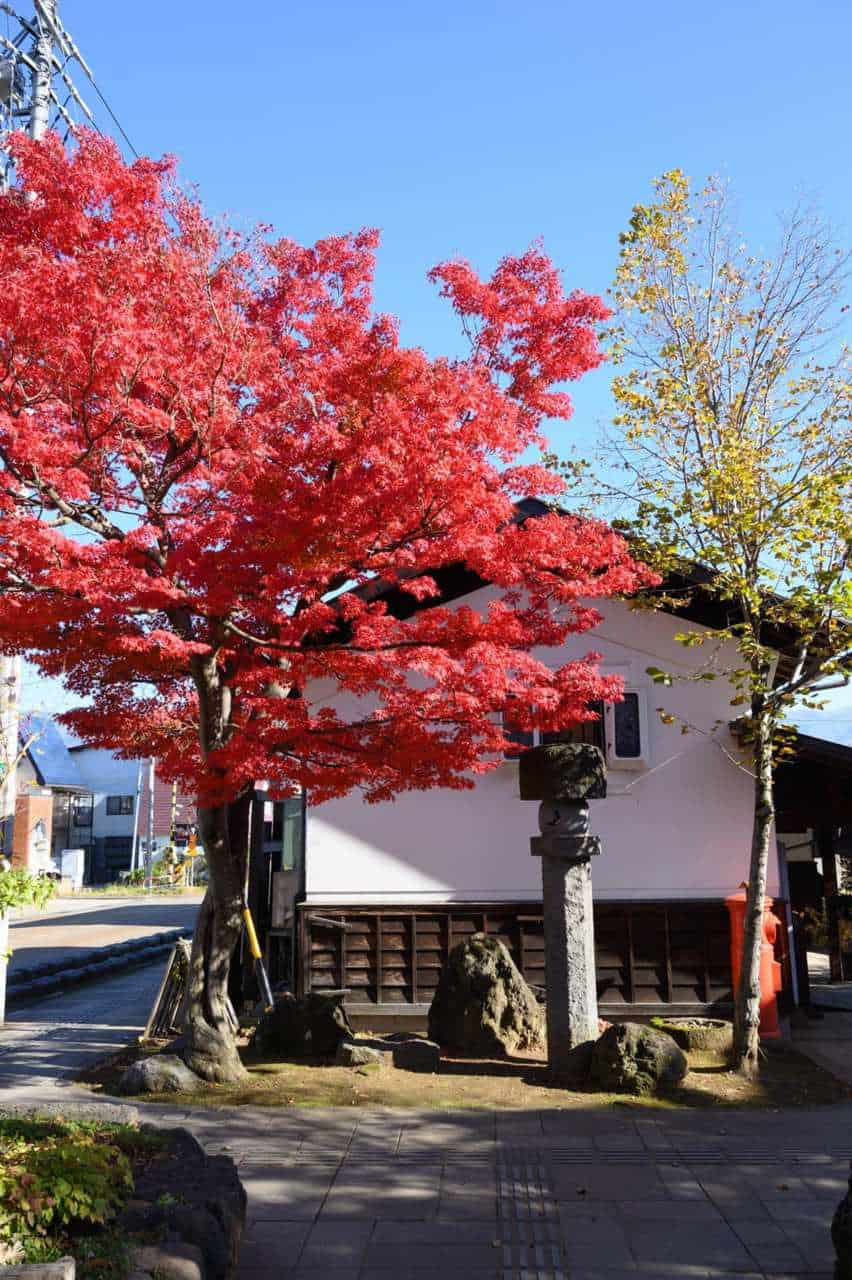 3 Ways To Spend A Perfect Day in Iiyama City