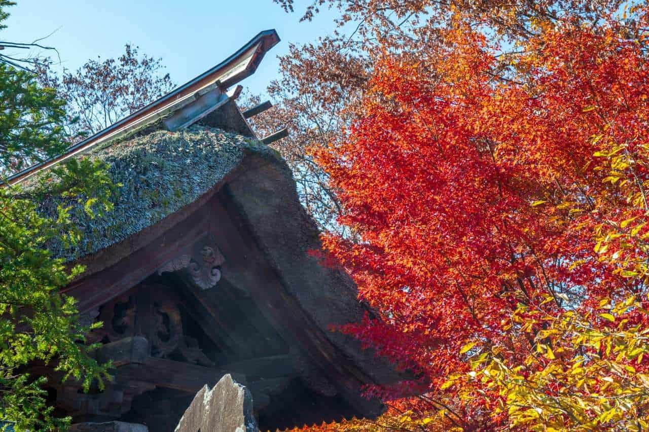 3 Ways To Spend A Perfect Day in Iiyama City