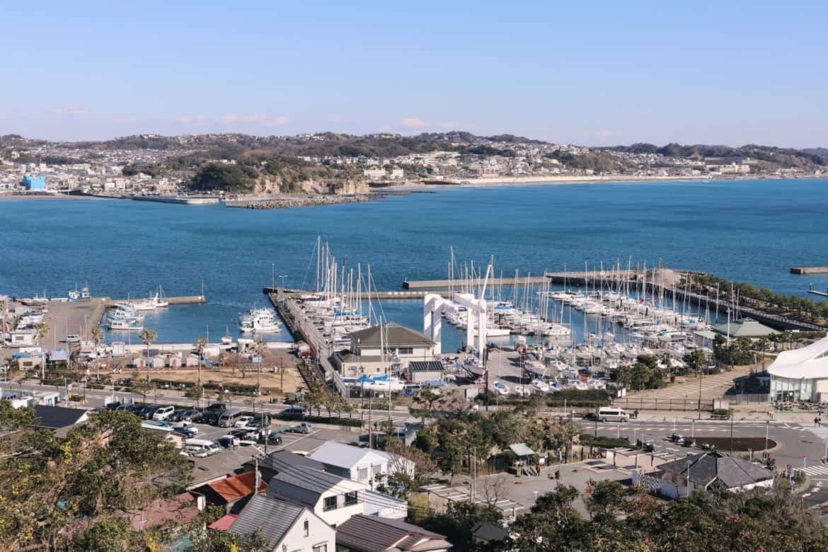 The Pearls of Enoshima: Fish, the Sea and Mount Fuji - VOYAPON