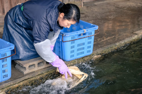 Japanese Washi: Where to Make Your Own Handmade Paper in Japan