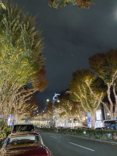 The Best Places to See the Spectacular Winter Illuminations in Tokyo