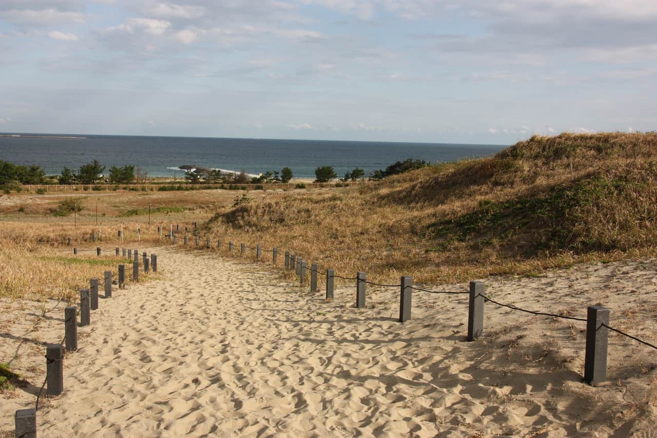Celebrate the Arrival of Autumn at Hitachi Seaside Park