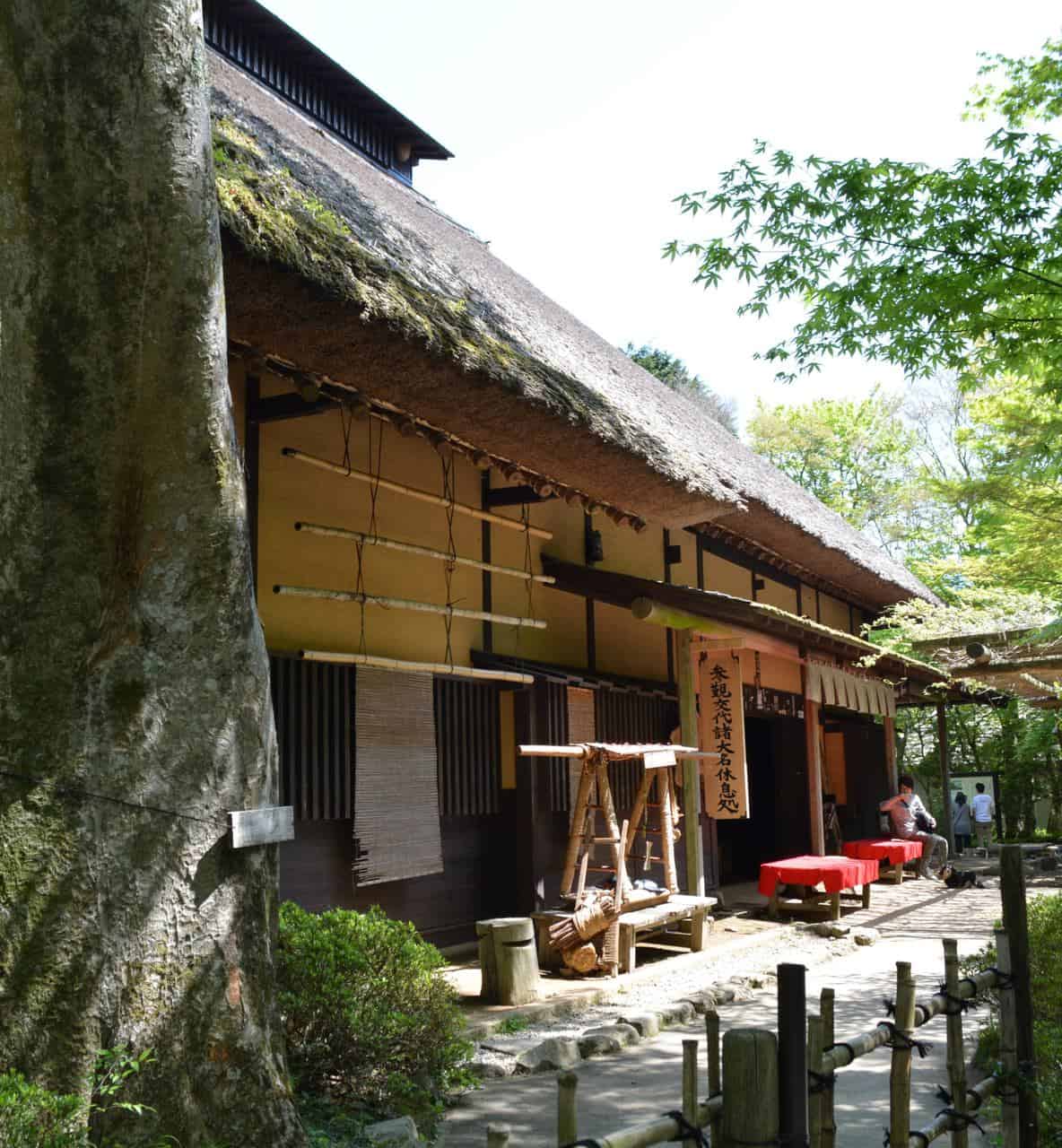 Hiking Hakone: Best Things to See and Do Along Japan's Ancient Highway