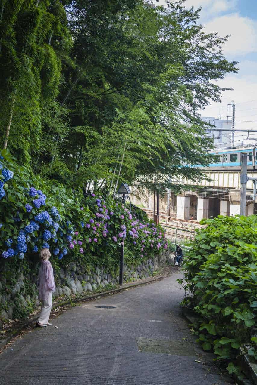 Oji, A Nature and History Oasis in Tokyo