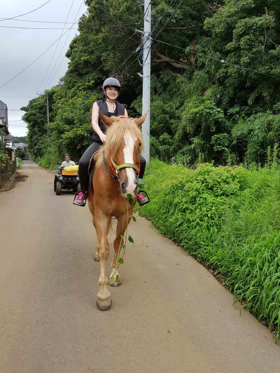 Horses in Japan: Best Places to Ride, See & Learn about Horses in Japan
