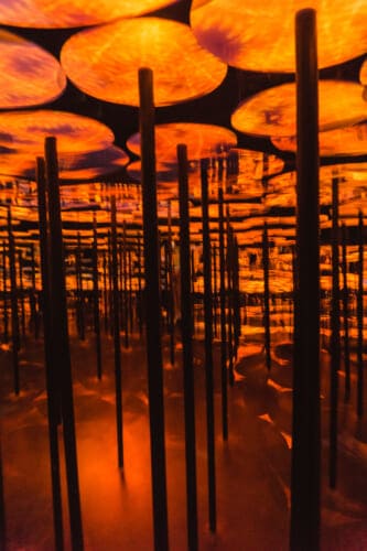 teamLab Planets in Tokyo: All you need to know about the digital museum