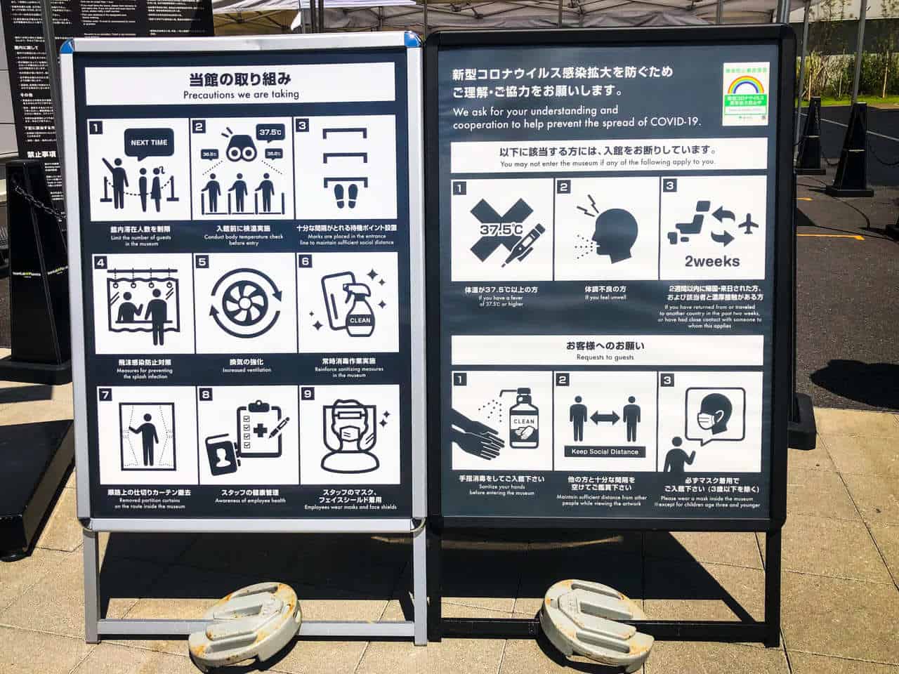 teamLab Planets in Tokyo: All you need to know about the digital museum