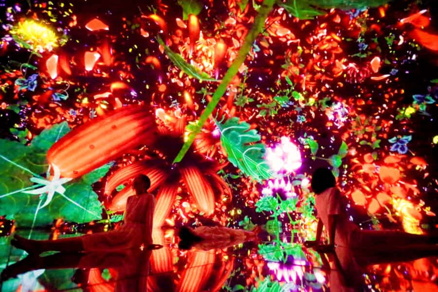 teamLab Planets in Tokyo: All you need to know about the digital museum