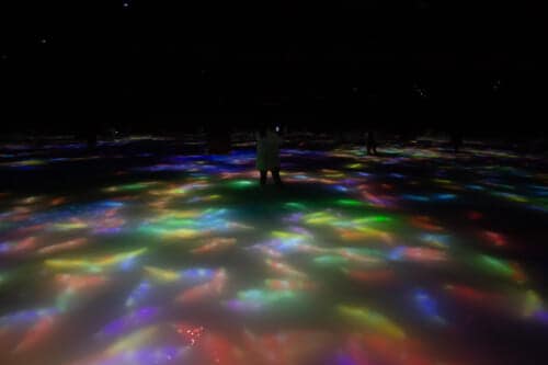 teamLab Planets in Tokyo: All you need to know about the digital museum