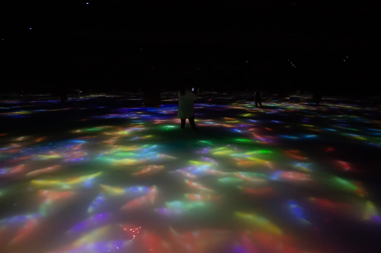 teamLab Planets in Tokyo: All you need to know about the digital museum