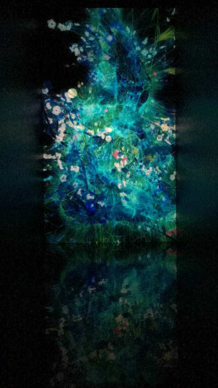 teamLab Planets in Tokyo: All you need to know about the digital museum