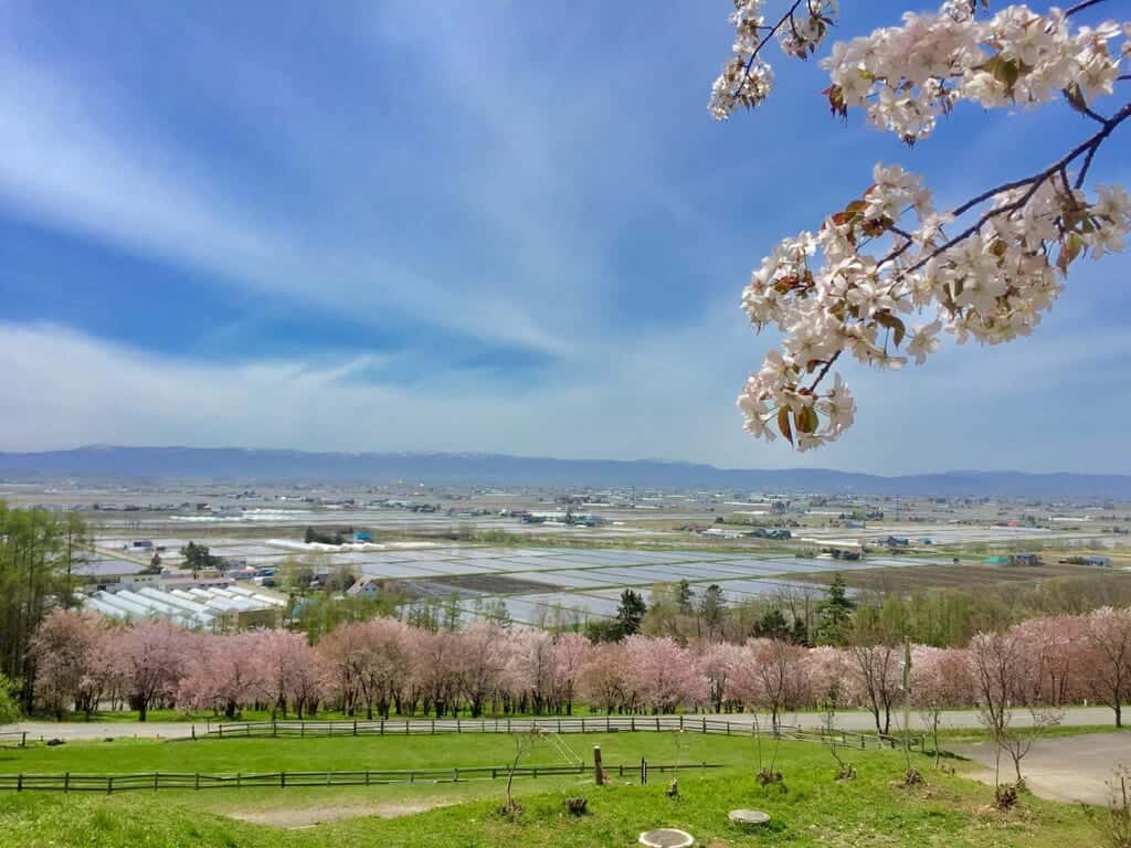 Welcome to Higashikawa, a magical place in Hokkaido