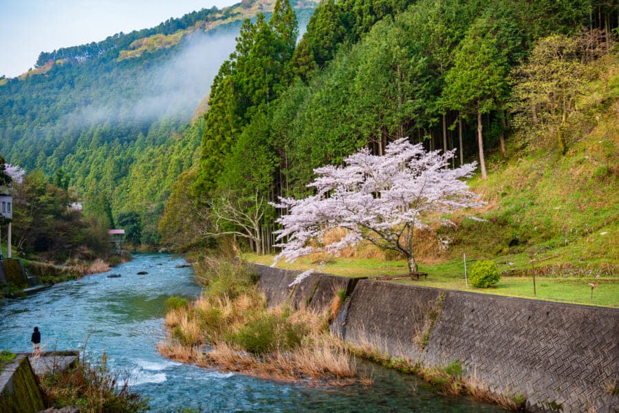Best Traditional Japanese Experiences in Hamamatsu near Tokyo & Kyoto