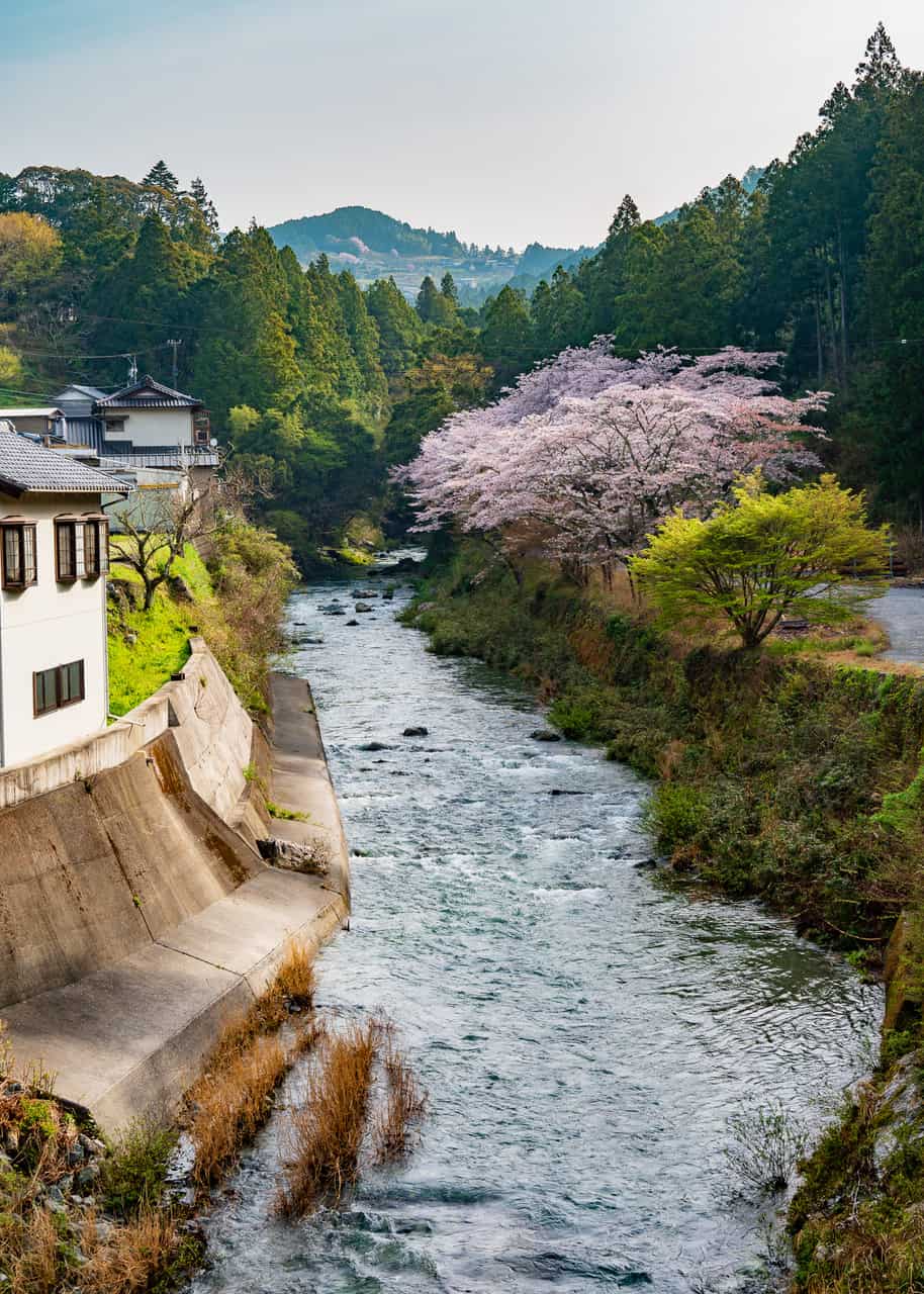 Best Traditional Japanese Experiences in Hamamatsu near Tokyo & Kyoto