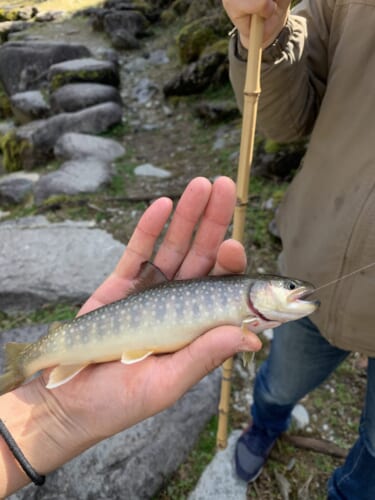 Gero Onsen: Ecotourism & Things to Do in Japan's Famous Hot Springs