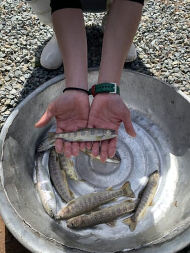 Gero Onsen: Ecotourism & Things to Do in Japan's Famous Hot Springs