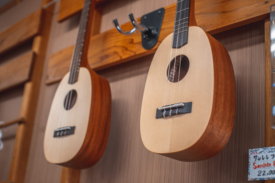 Sanshin: The History of the Okinawa Traditional Japanese Instrument