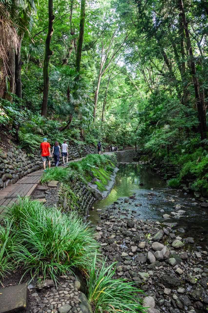 Todoroki Valley: One of the Most Beautiful Parks in the Middle of Tokyo