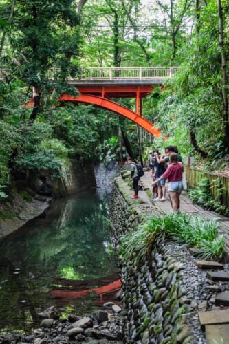 Todoroki Valley: One of the Most Beautiful Parks in the Middle of Tokyo