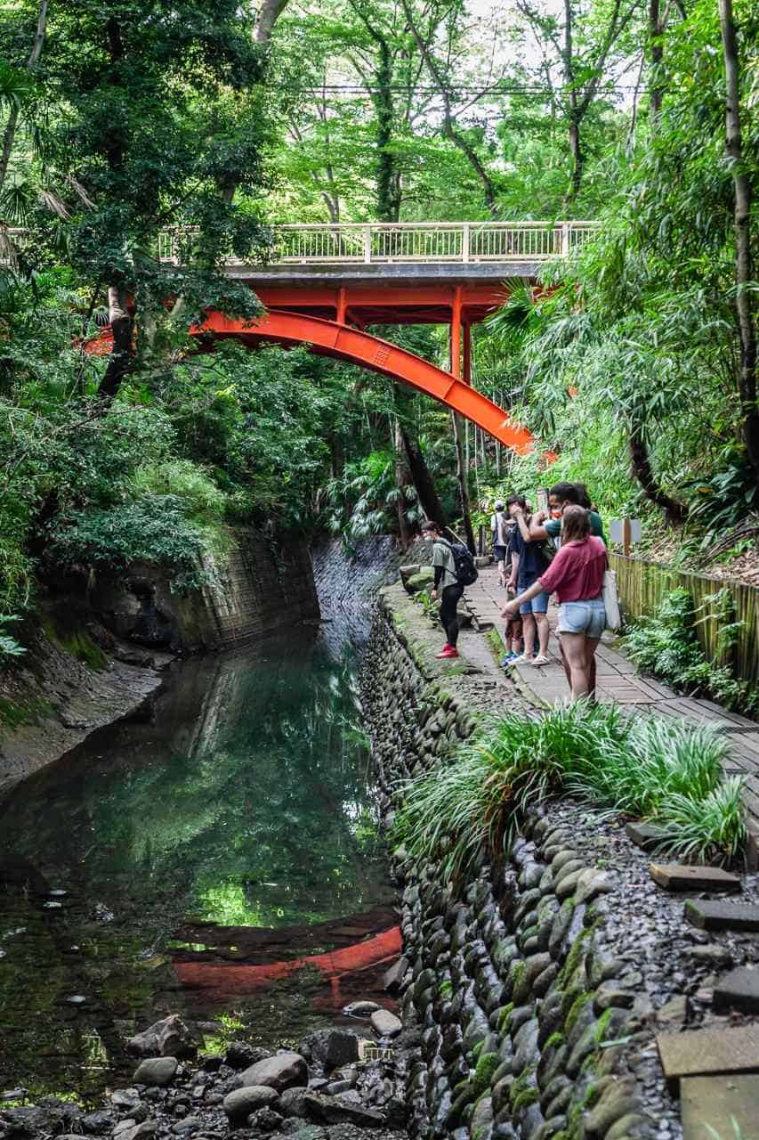 Todoroki Valley: One of the Most Beautiful Parks in the Middle of Tokyo