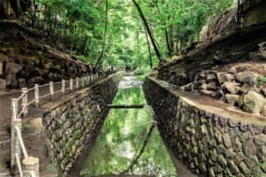 Todoroki Valley: One of the Most Beautiful Parks in the Middle of Tokyo