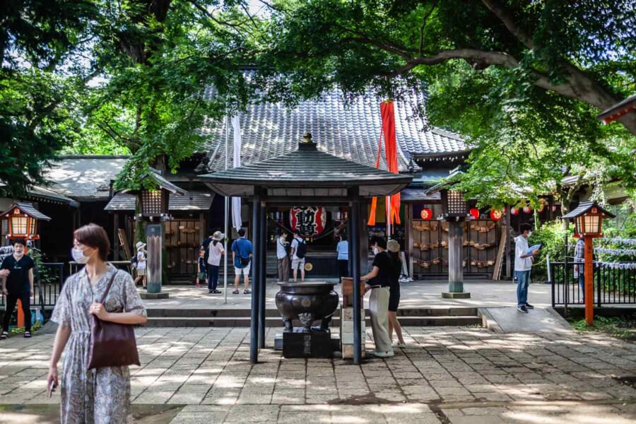 Todoroki Valley: One of the Most Beautiful Parks in the Middle of Tokyo