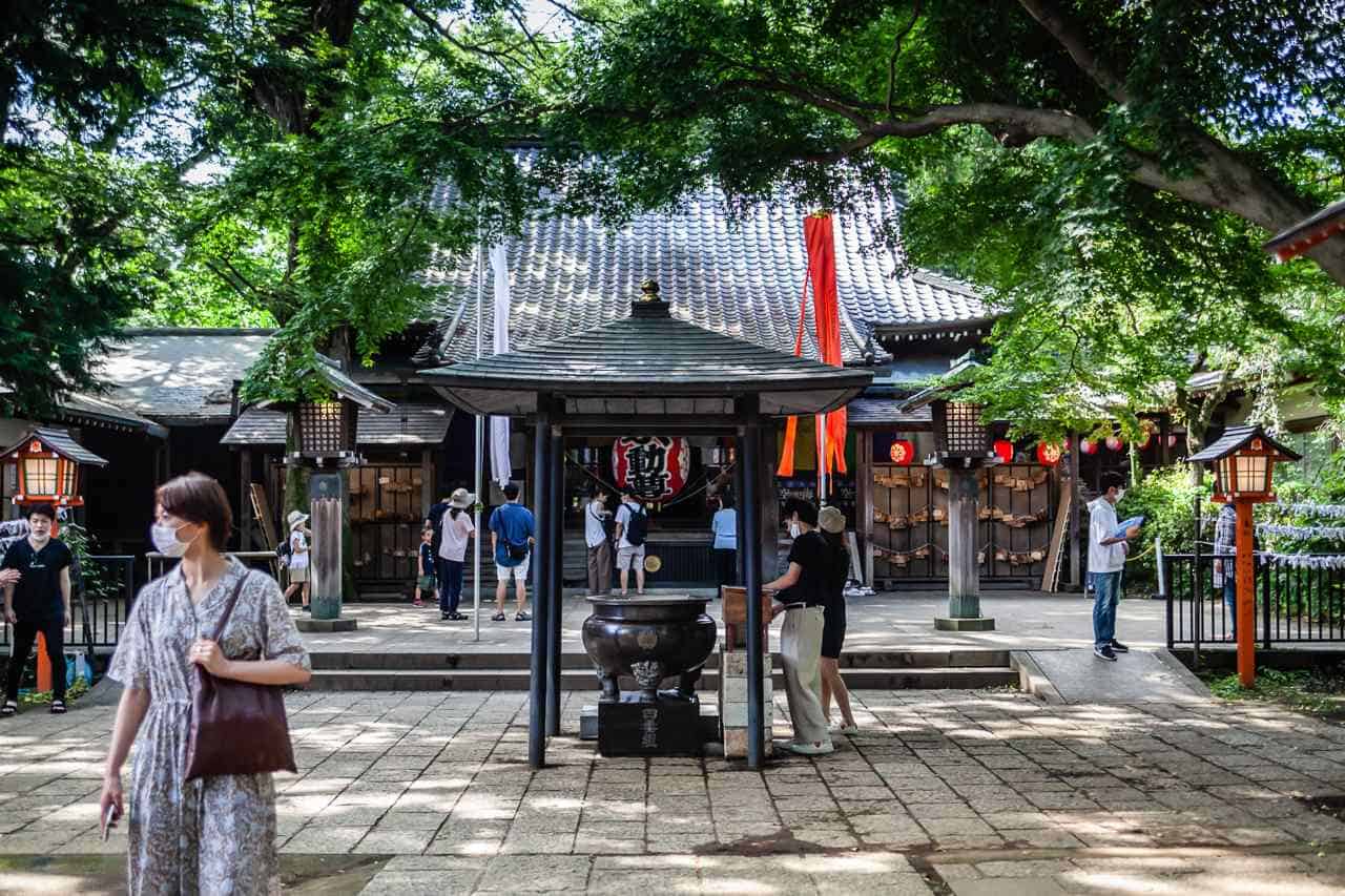 Todoroki Valley: One of the Most Beautiful Parks in the Middle of Tokyo