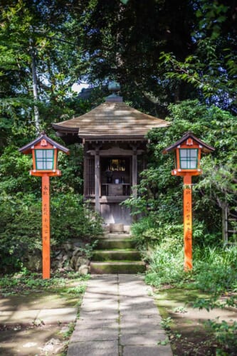 Todoroki Valley: One of the Most Beautiful Parks in the Middle of Tokyo