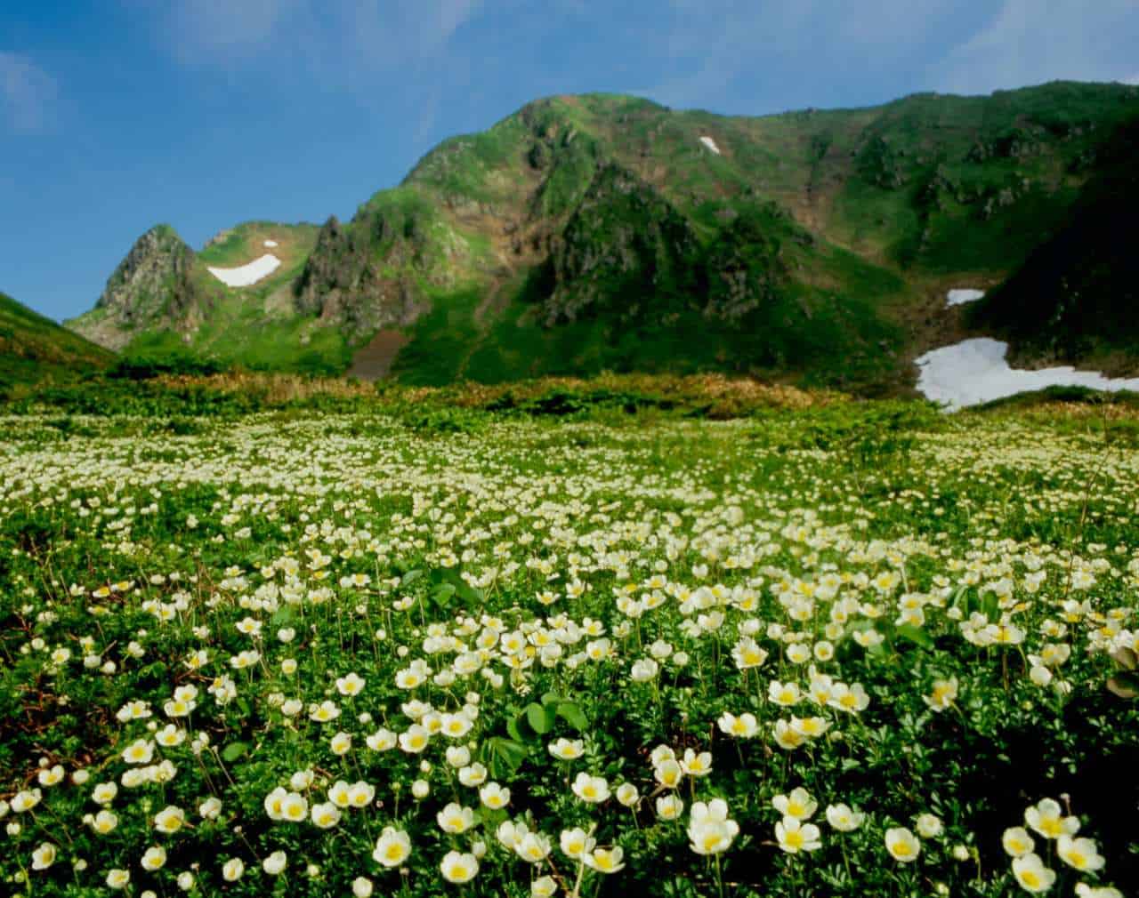 Top Summer Activities to See and Do in Semboku, Akita Prefecture